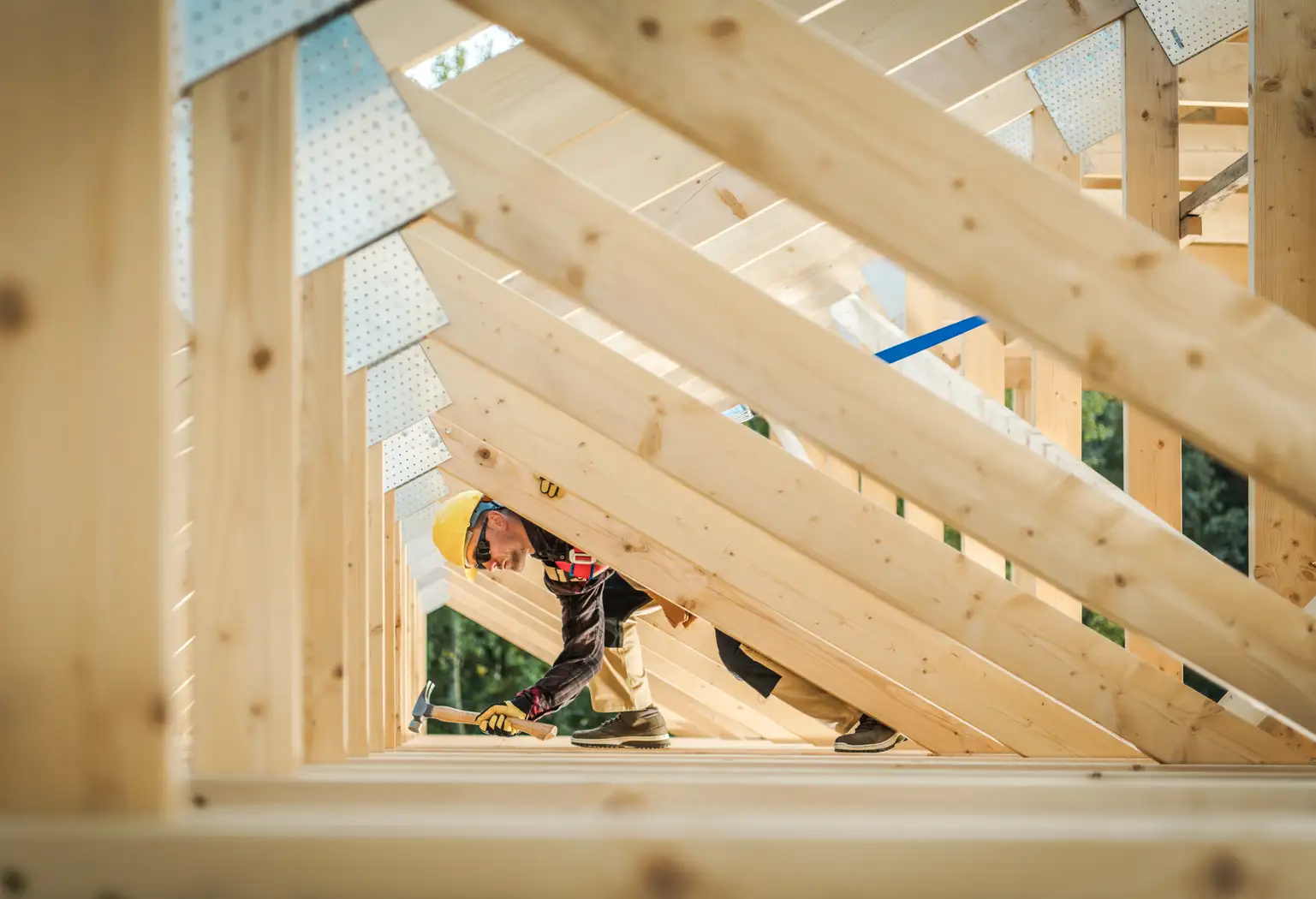 Reasons why a self-build timber home might be for you | Blog | Maple ...